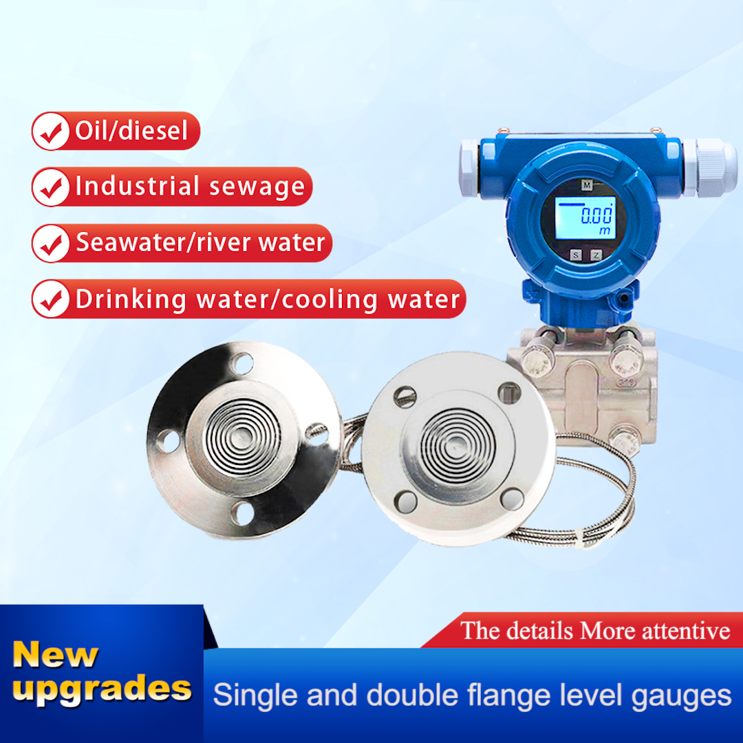 single-double-flange-level-gauge