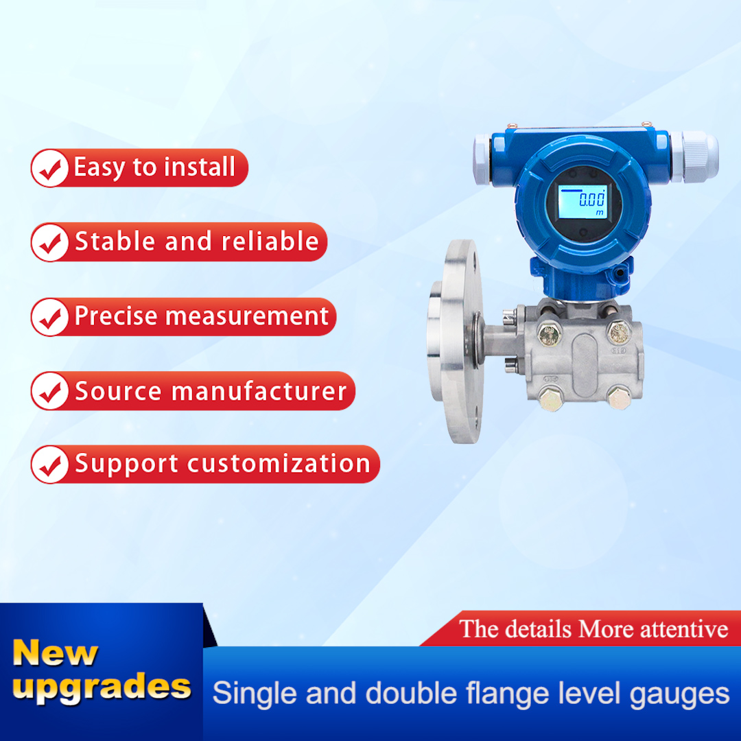 single-double-flange-level-gauge