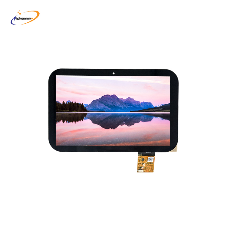 9" LVDS TFT LCD Display Module - RHY090NK5XXNB10