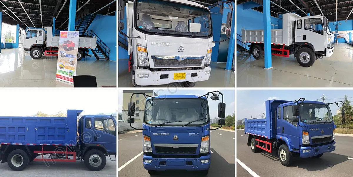 HOWO 4x2 Dump Truck
