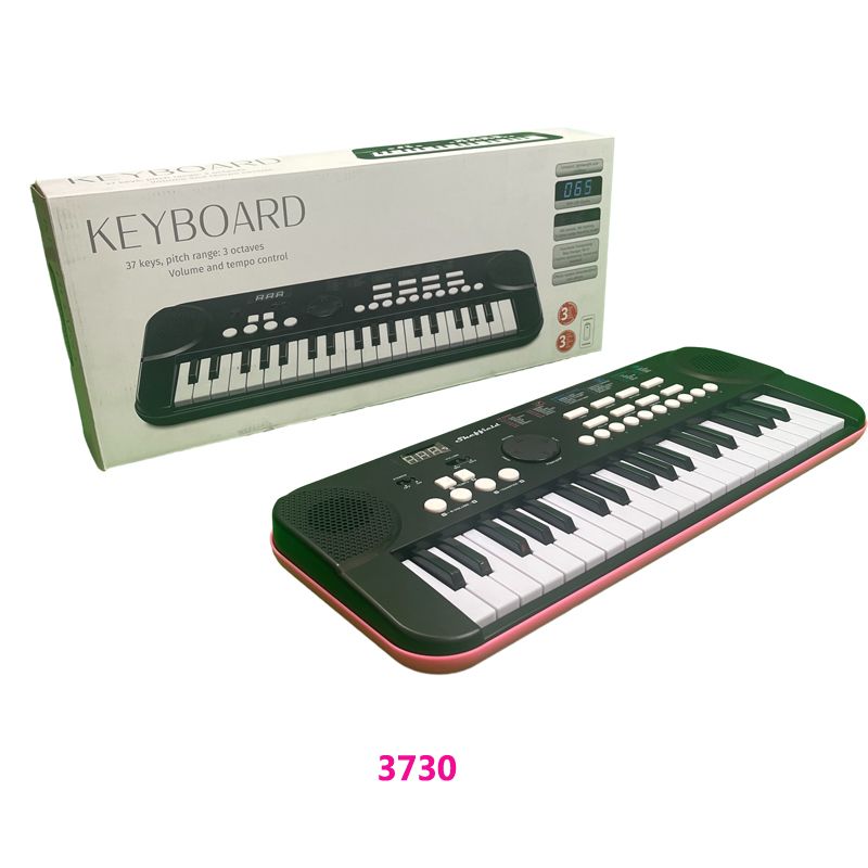 electronic keyboard,electronic organ,musical instrument