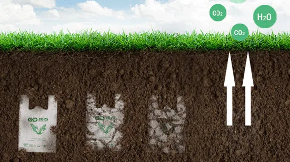 Latest Progress of Wal Mart in Sustainable Packaging