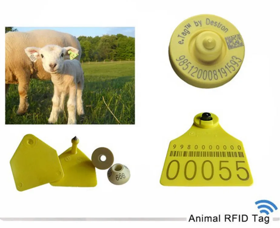 RFID Livestock Management