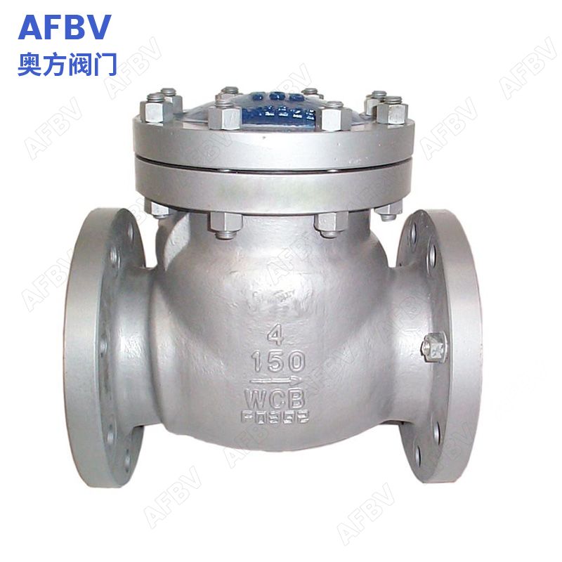 ANSI Standard Flange Check Valve
