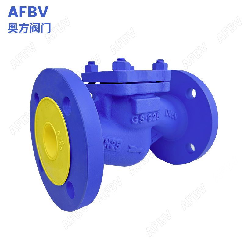 DIN Standard Check Valves