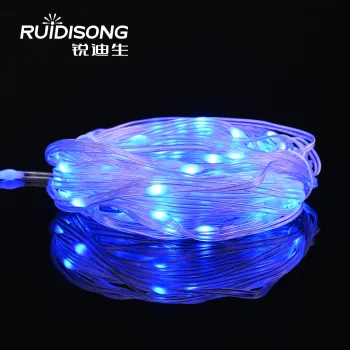PVC String Lights | Guangdong Ruidisong Technology Co.,Ltd.