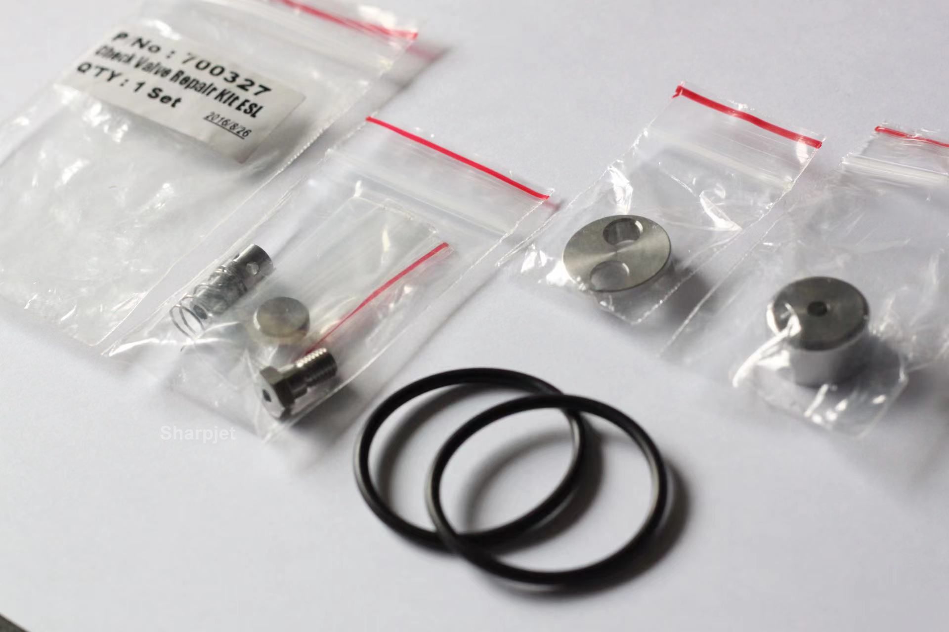 Check Valve Repair Kit