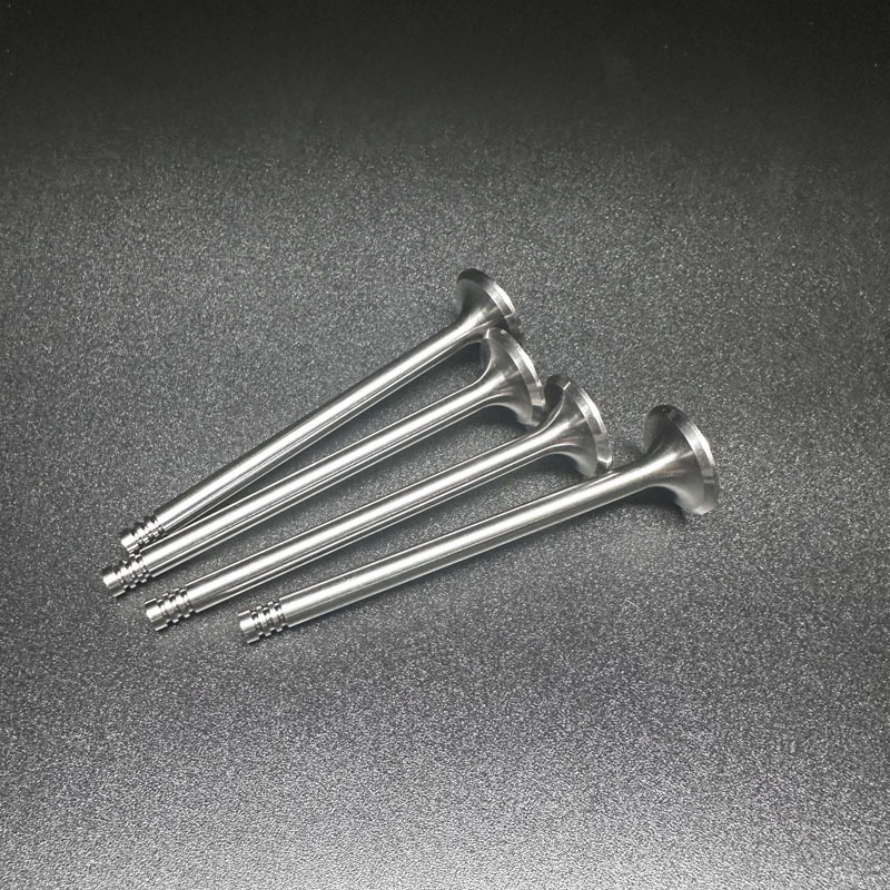 GR5 Titanium Alloy Valve