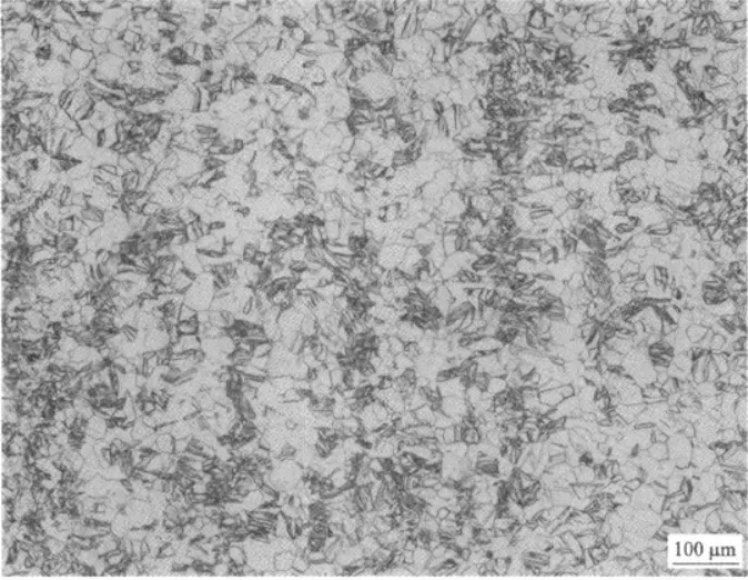 Metallographic diagram of titanium and titanium alloys