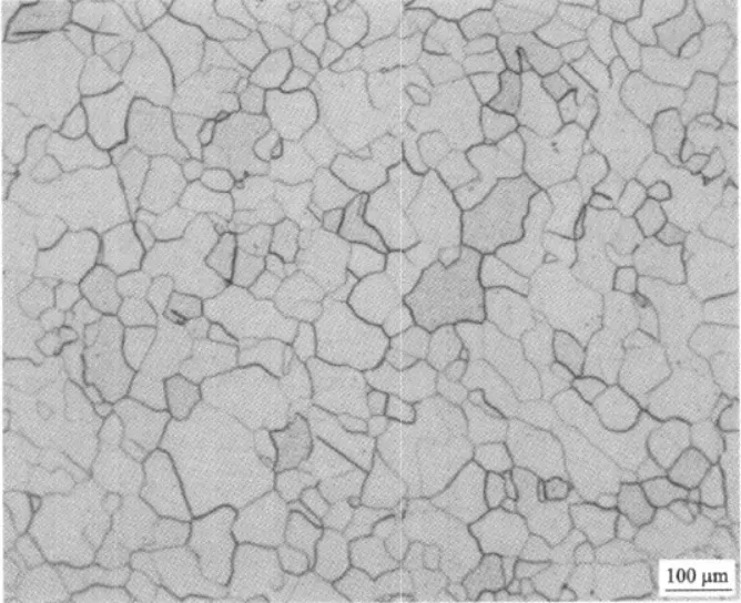 Metallographic diagram of titanium and titanium alloys