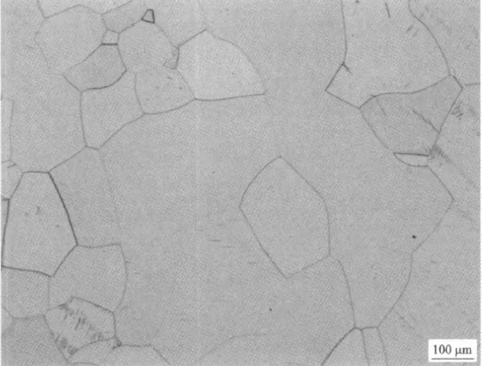 Metallographic diagram of titanium and titanium alloys