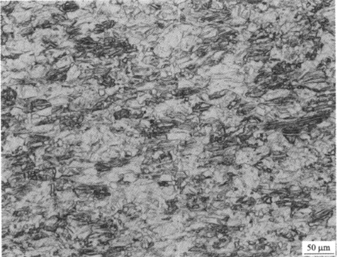 Metallographic diagram of titanium and titanium alloys