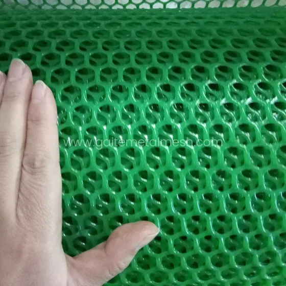 Plastic Chicken Wire Mesh