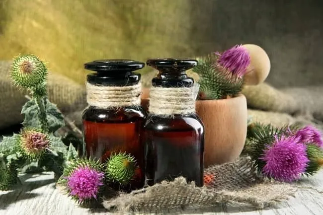 MEDICINE AND HERBAL EXTRACTION