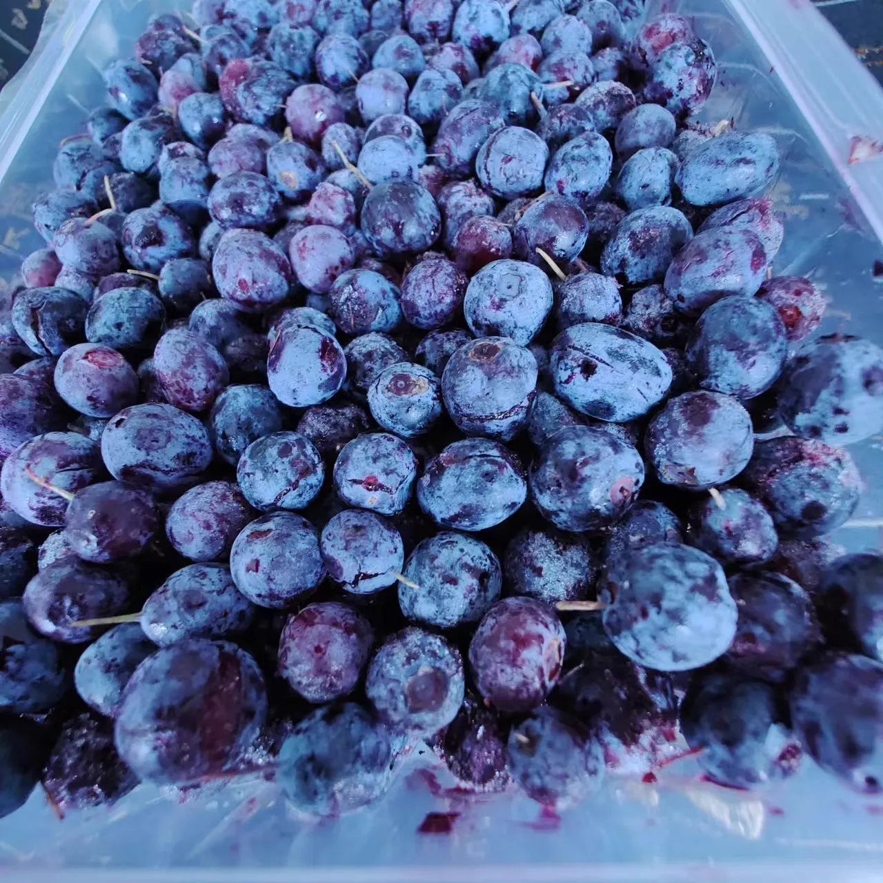 blueberry,frozen blueberry,blueberry fruit