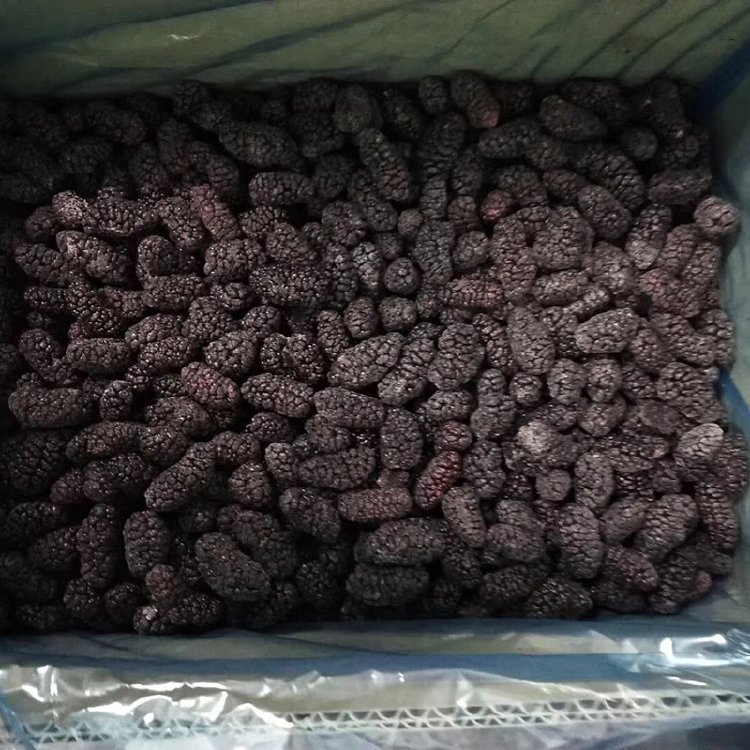 frozen mulberry,mulberry,frozen fruit