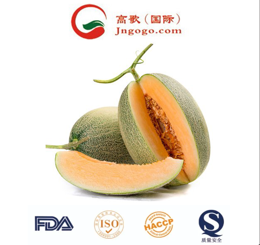 fresh melon,sweet melons,rock melons