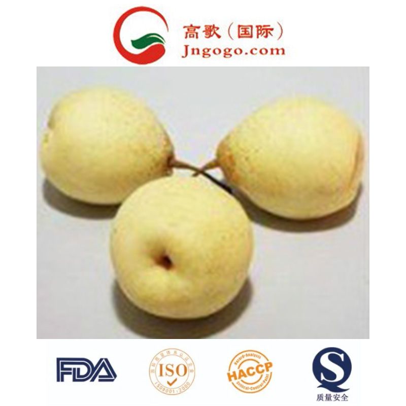 新鲜中国梨，梨，雅梨