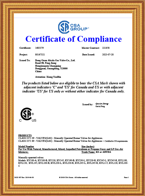 LPG Valve & LPG Regulator & LPG Fittings Factory | ABYDA