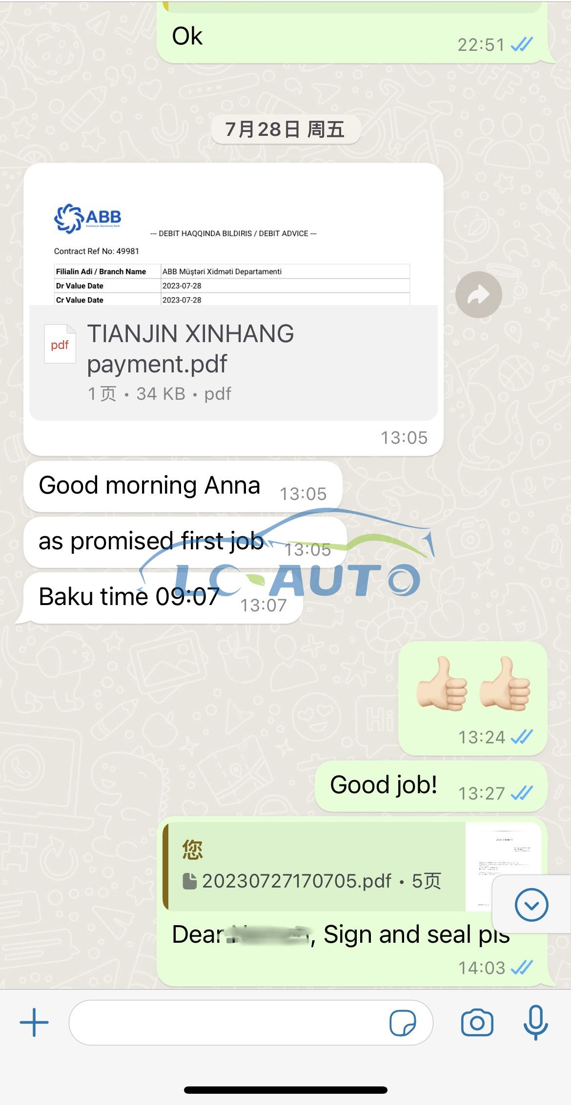 Changan Unik-Idd: Where Innovation Meets EVs