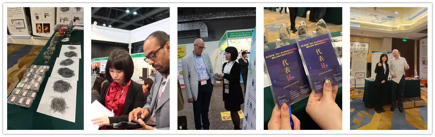 Tortoise Shell Structure Mesh