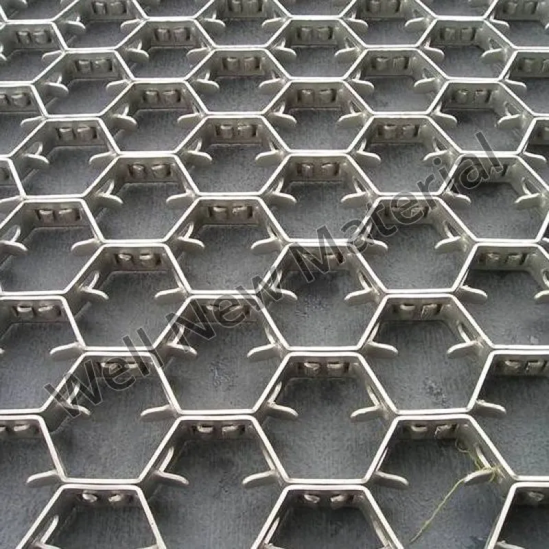Tortoise Shell Structure Mesh