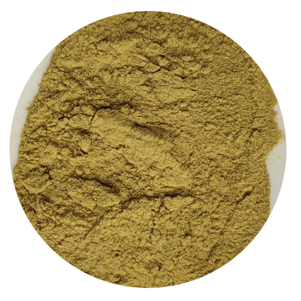 Olive Leaf Extract Powder - Chenlv Herb