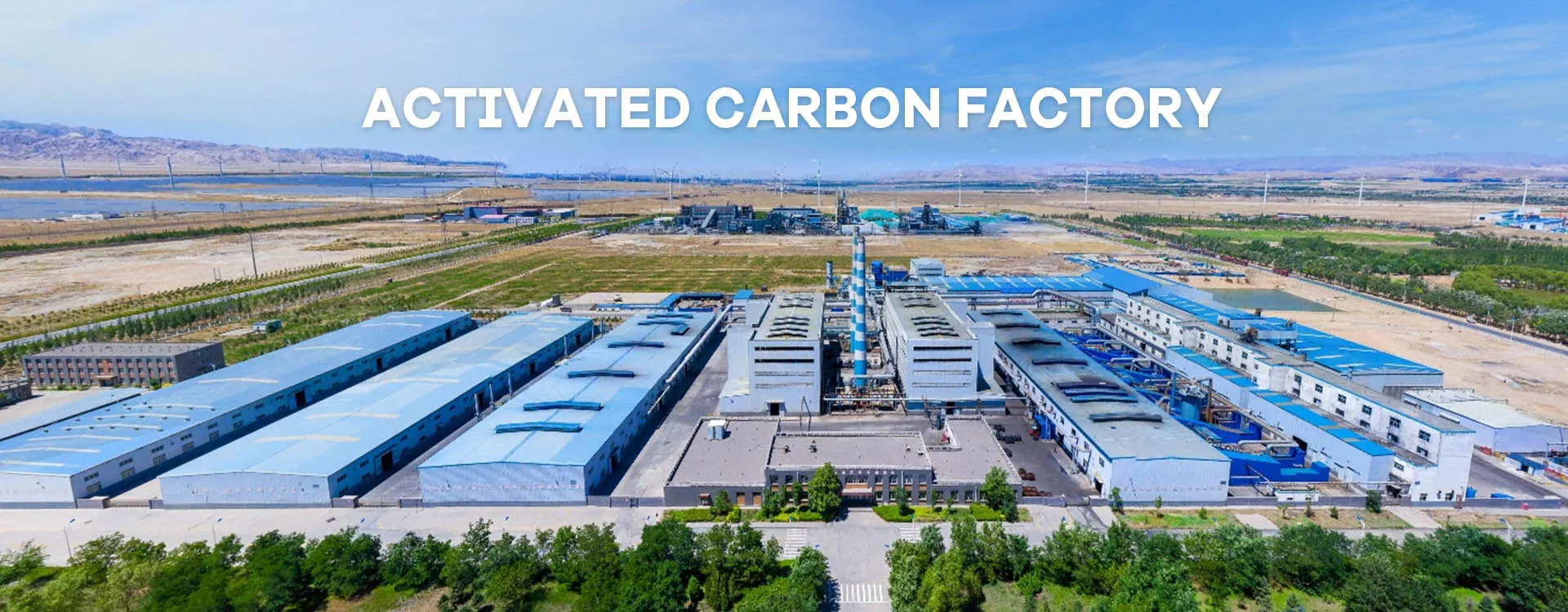 Activated Carbon Manufacturer-Supplier Factory Direct Sale Activated Carbon