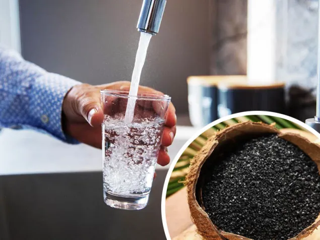 Activated Carbon Wholesale