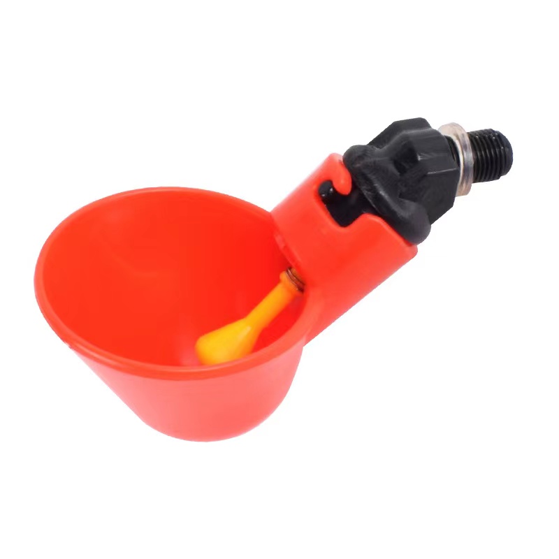 Comparing Drinker Types: Nipple vs. Cup Systems