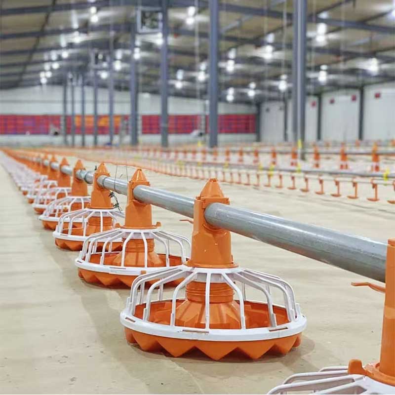 Choosing the Right Feeder Line for Broilers, Layers, and Breeders