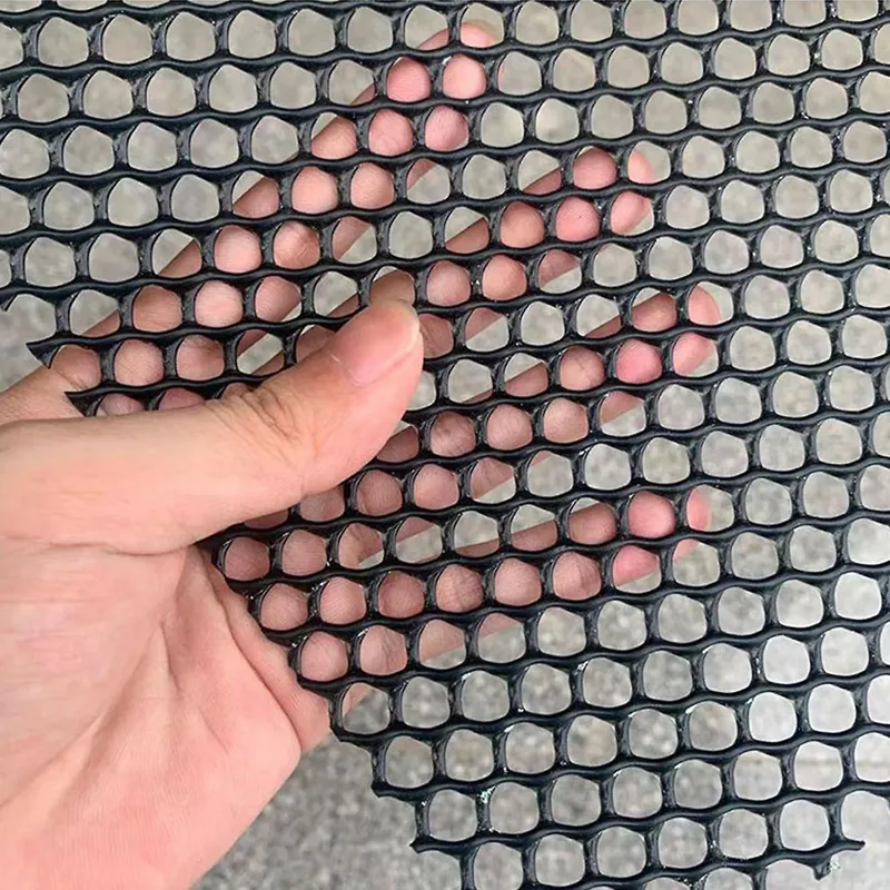 Plastic Chicken Wire Mesh/Farm Breeding Plastic Net