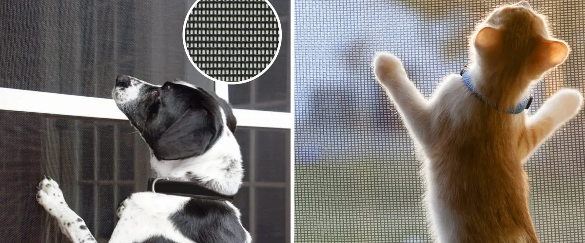 cat proof window screen