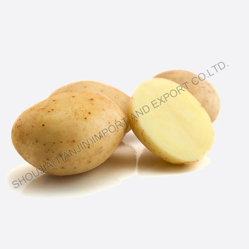 Fresh Potato