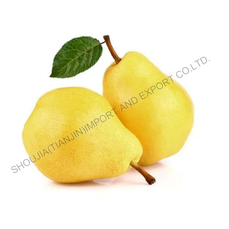 Fresh He bei Ya Pear