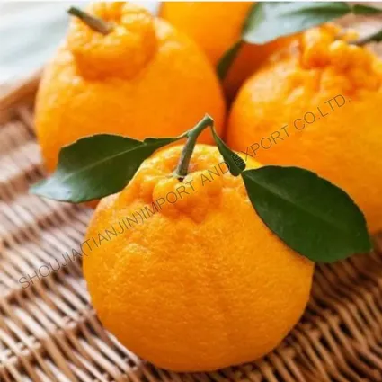 Dekopon Orange
