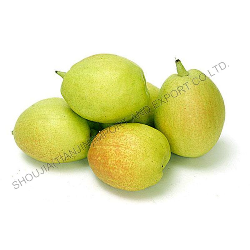 Korla Fragrant Pear
