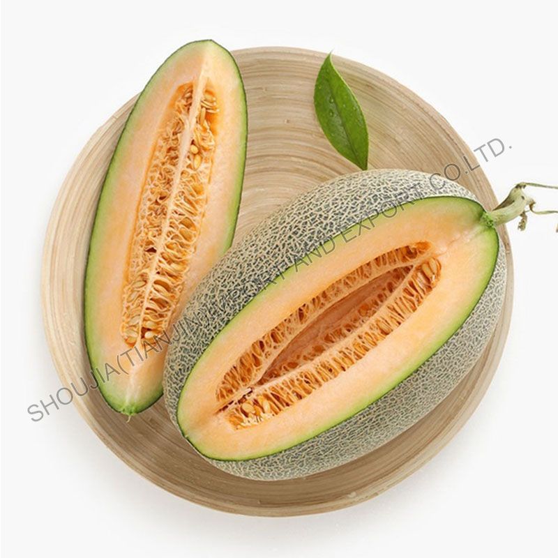 Fresh Melon