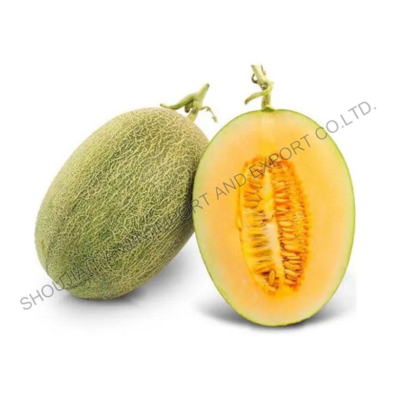 Fresh Melon