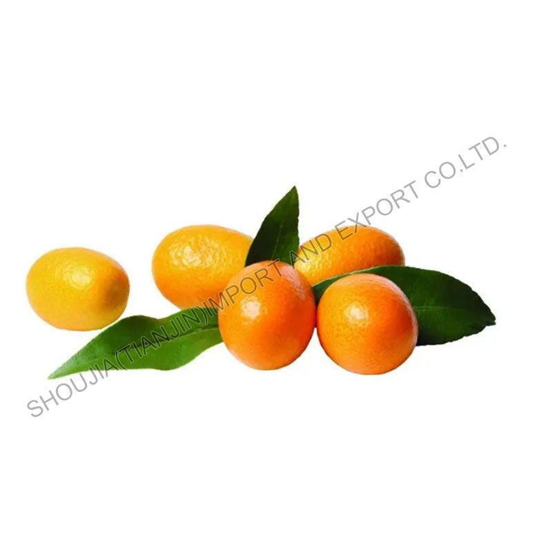 Fresh Orange