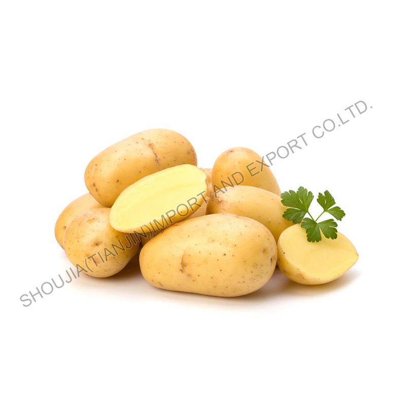 Fresh Potato