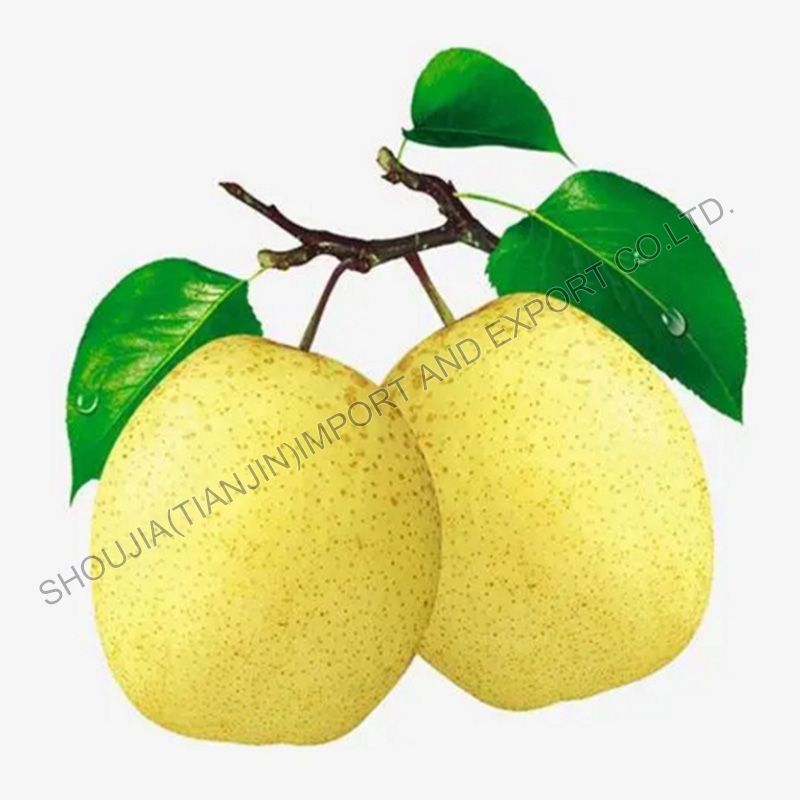 Fresh He bei Ya Pear