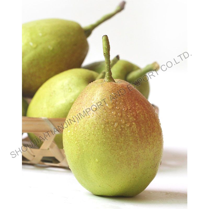 Korla Fragrant Pear