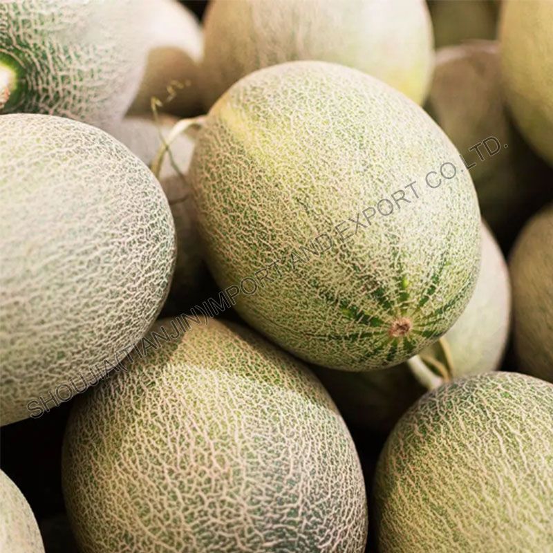Fresh Melon