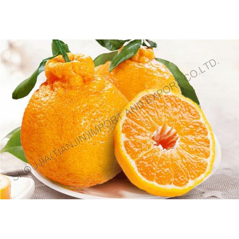 Dekopon Orange
