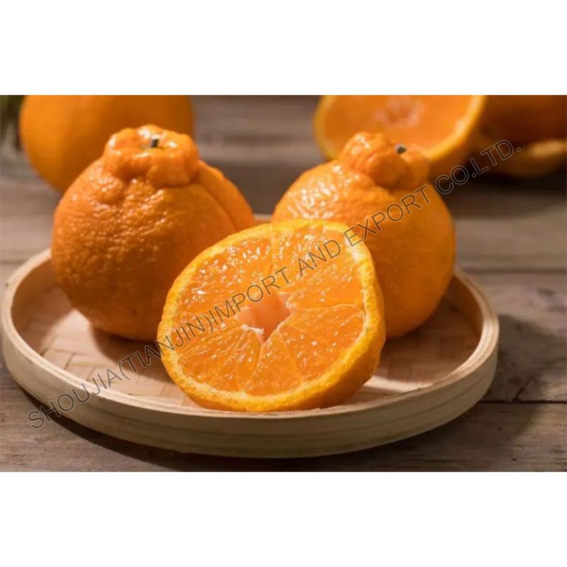 Dekopon Orange