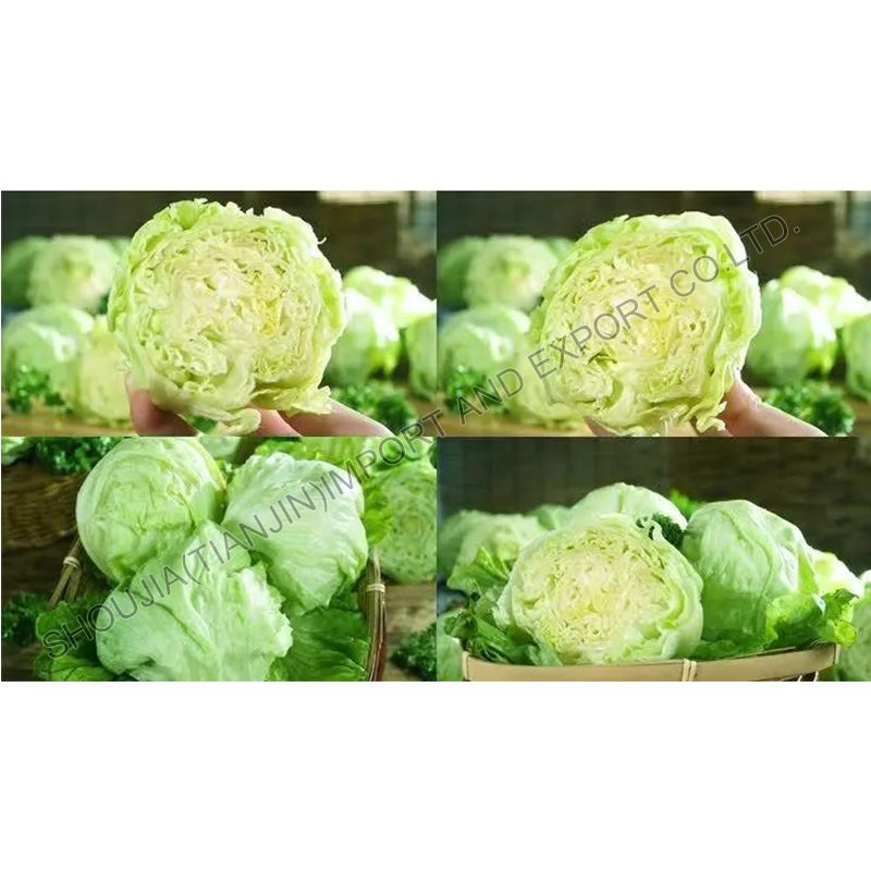 Fresh Lettuce