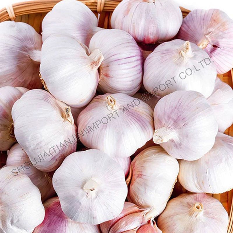 Fresh garlic