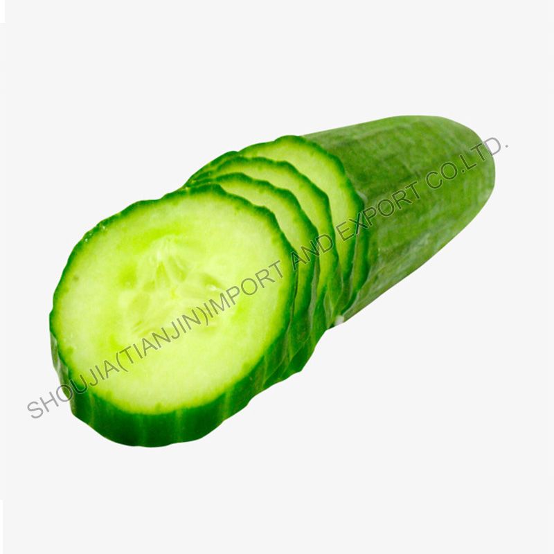 Fresh cucumber