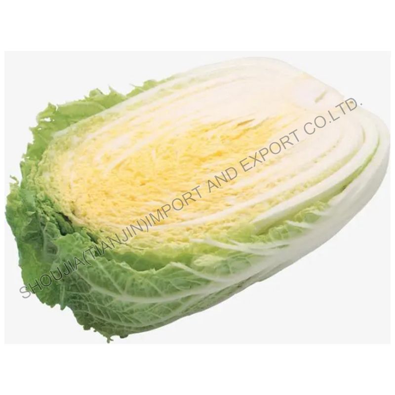 Fresh Chinese cabbage